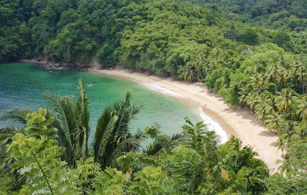 Our 5 Best Places To Visit In Tobago - Travelho