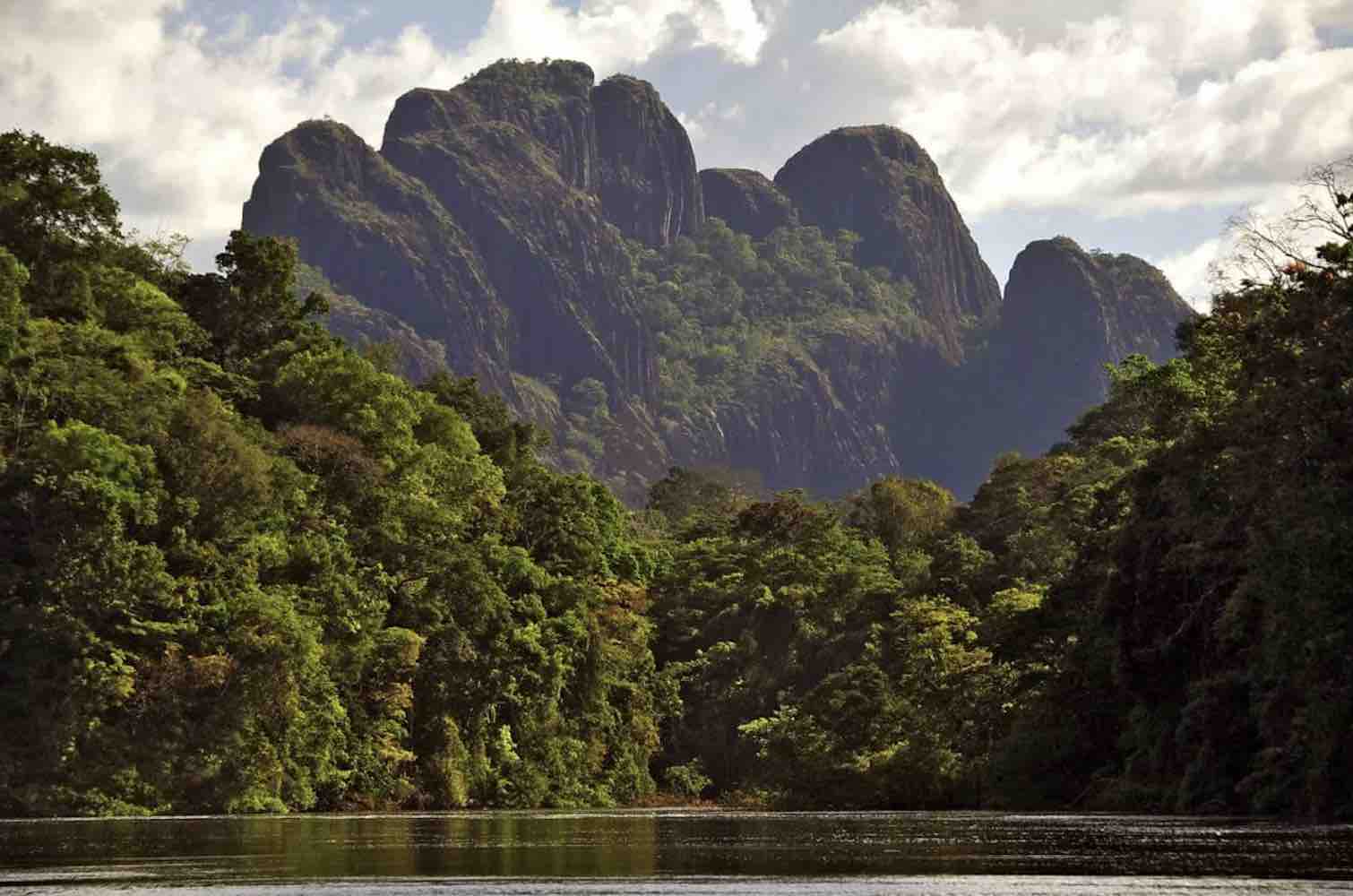 Our Top 5 Best Places To Visit In Suriname: - Travelho