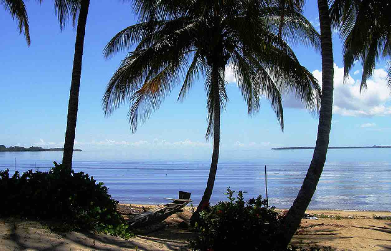 Our Top 5 Best Places To Visit In Suriname: - Travelho