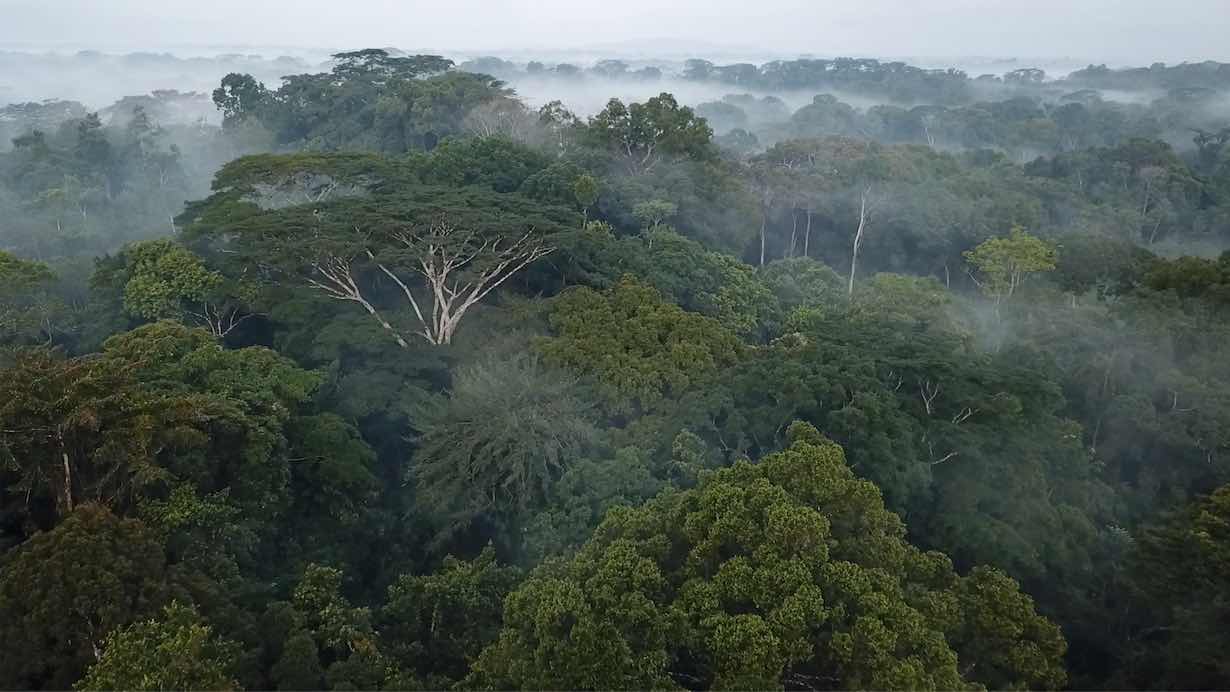 Our Top 5 Best Places To Visit In Liberia: - Travelho