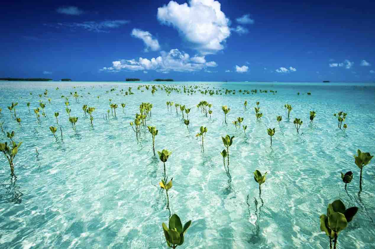 Our Top 7 Best Places To Visit In Tuvalu: - Travelho