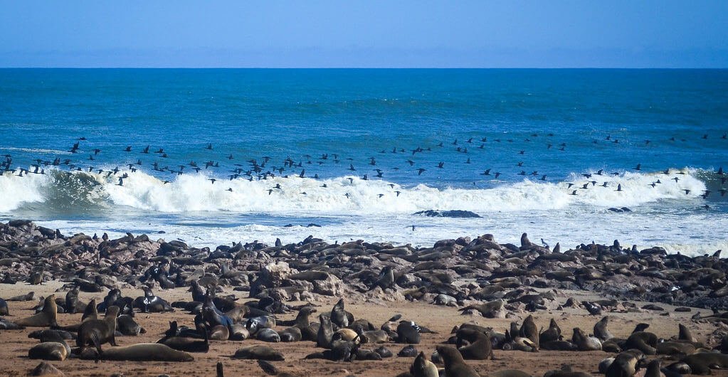 Our Top 5 Best Places To Visit In Namibia: - Travelho