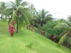 Our Top 5 Best Places To Visit In Papua New Guinea: - Travelho