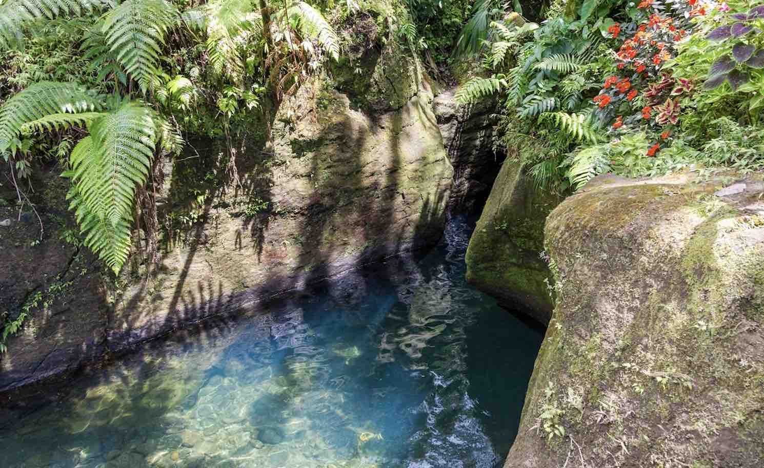 Our Top 5 Best Places to Visit in Dominica - Travelho